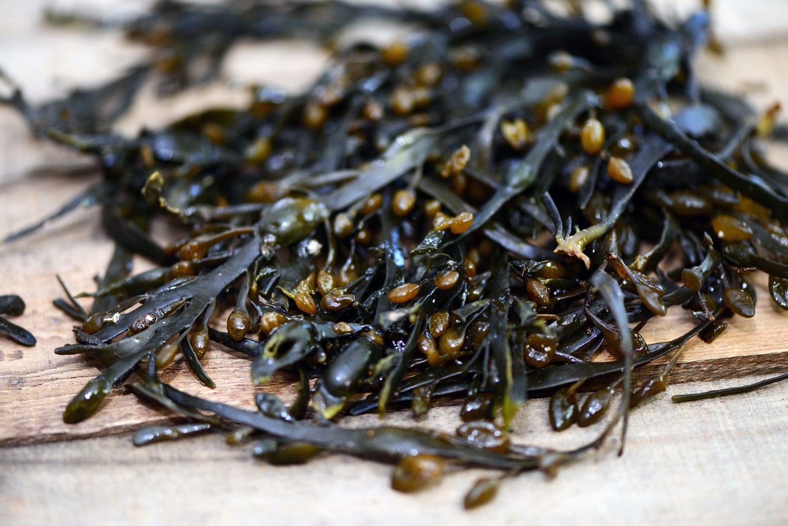 Wie ungesund ist Carrageen? • Healthy Rockstar